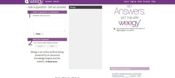 Weegy.com Review 2024: Scam or Legit - Pixel Dimes