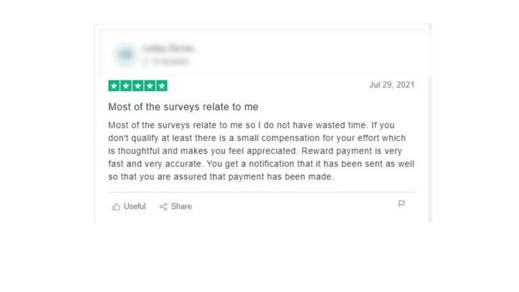Panel Opinion Review 2024: Legit or Scam - Pixel Dimes