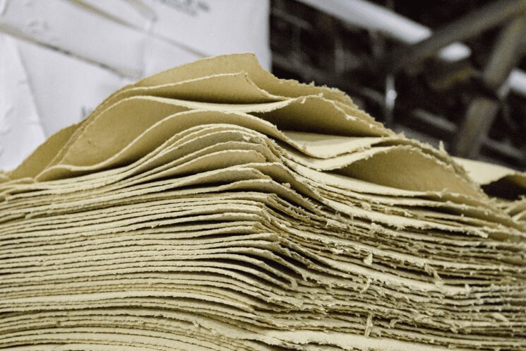 The Top 5 Uses Of Hemp - Pixel Dimes