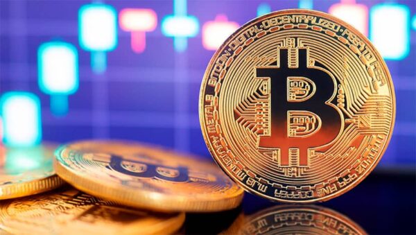 Trading Your Way to Success: Transitioning from Hobbyist to Pro Bitcoin ...